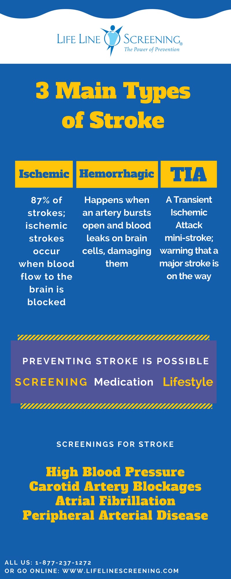 3 Kinds of Stroke Infographic - Life Line Screening